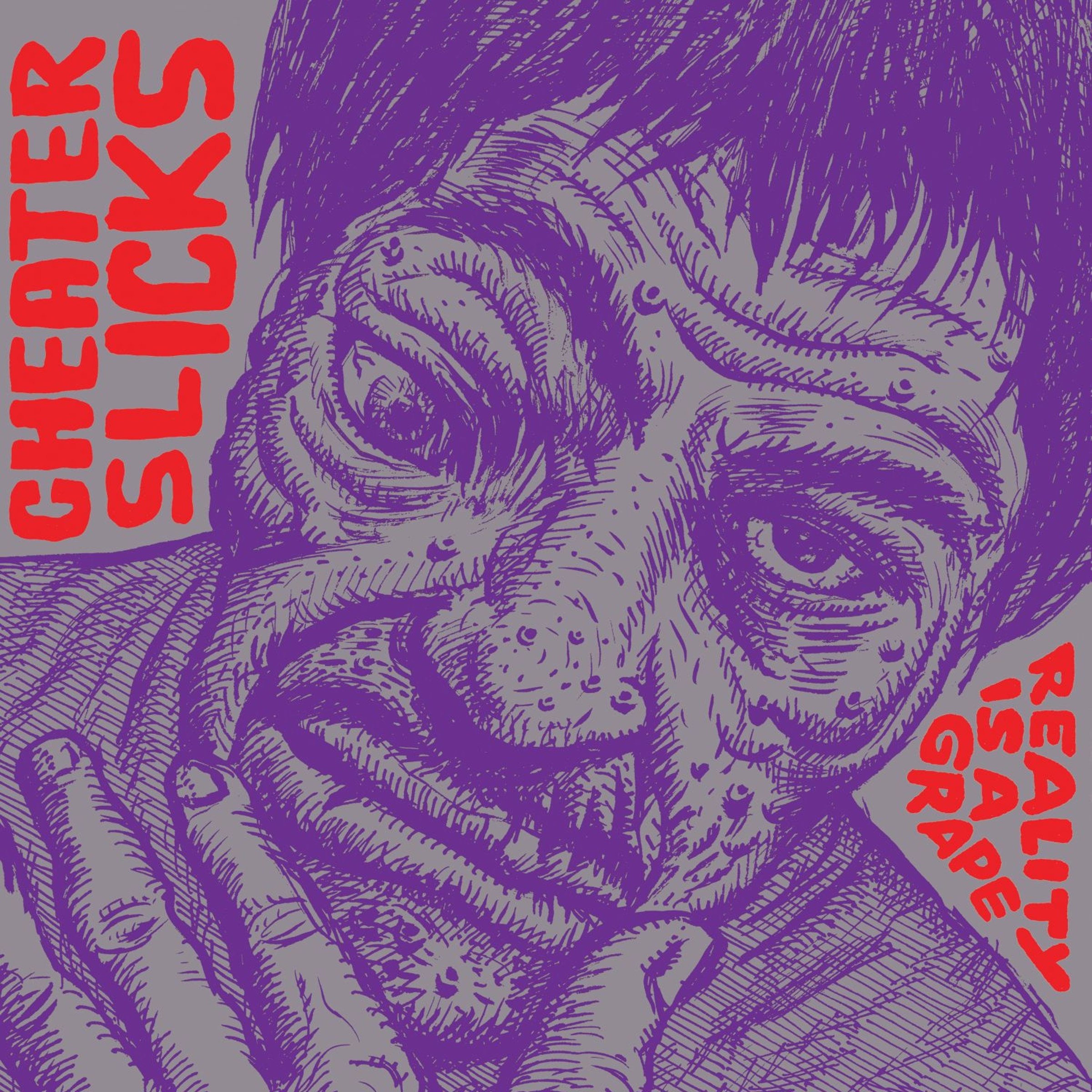 CHEATER SLICKS - Reality is a grape LP - Soundflat Mailorder
